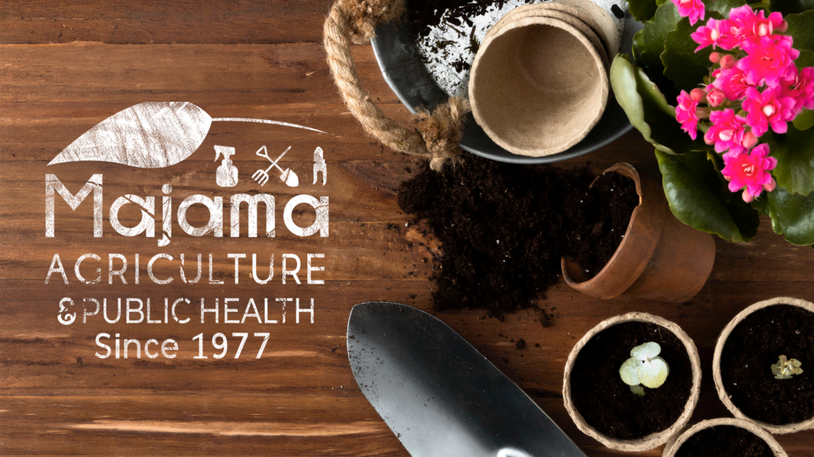 Majama – Online store