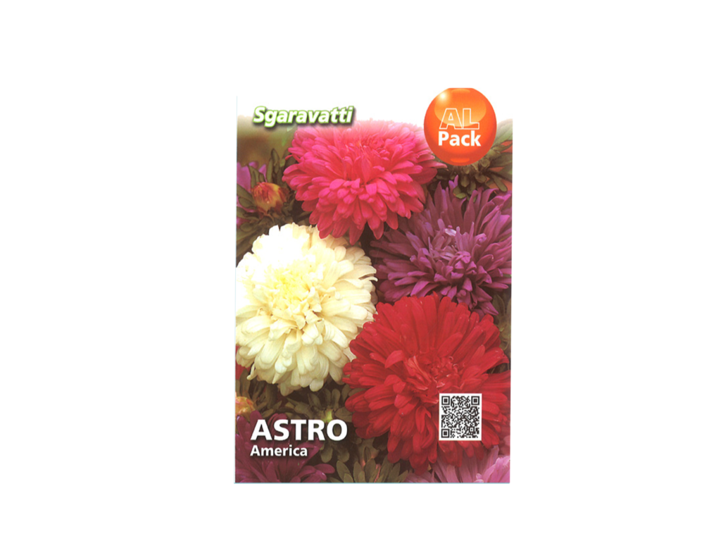 Astro America Flower Seeds - Majama