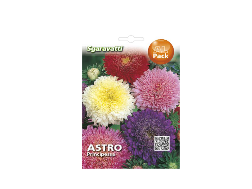 Astro Principessa Flower Seeds - Majama