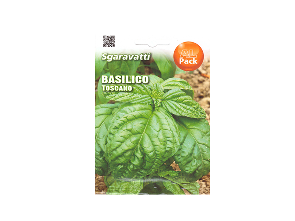 Basil Toscano Giant Seeds - حبق عملاق - Majama