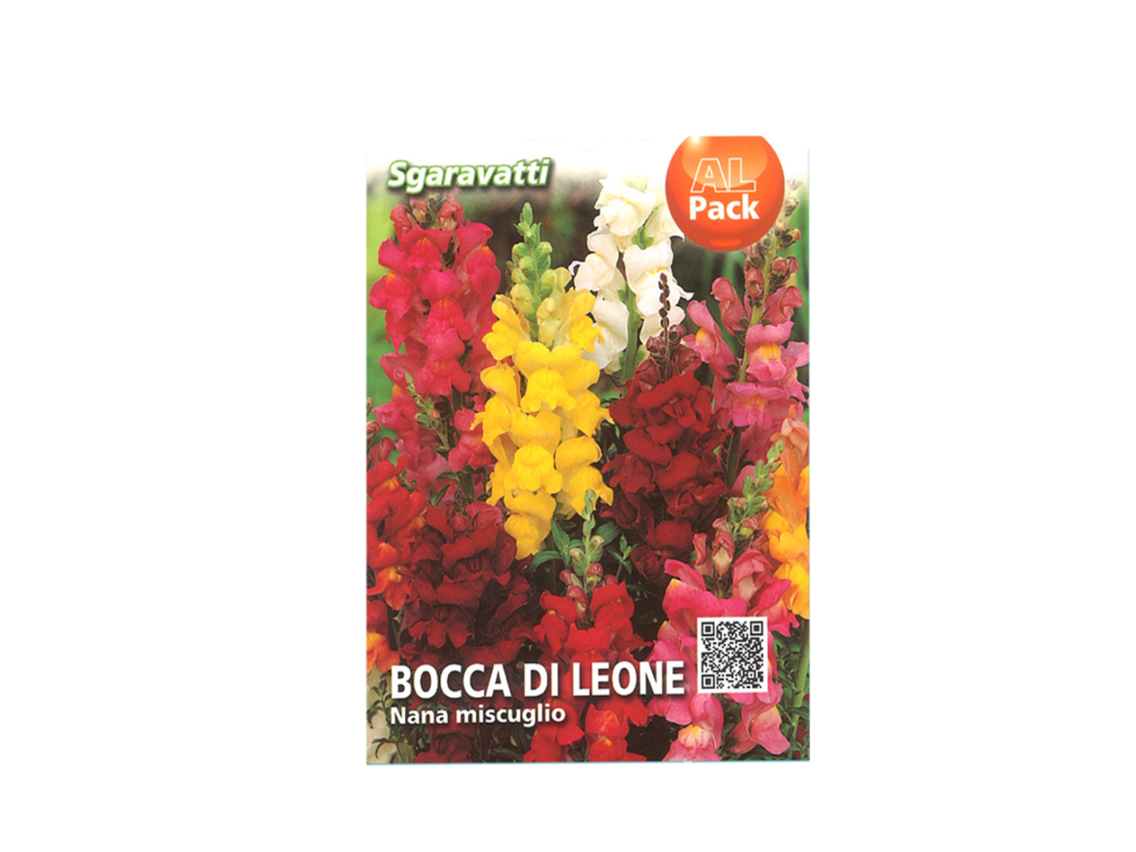 Bocca Di Leone Nana Flower Seeds - تم السمكة - Majama
