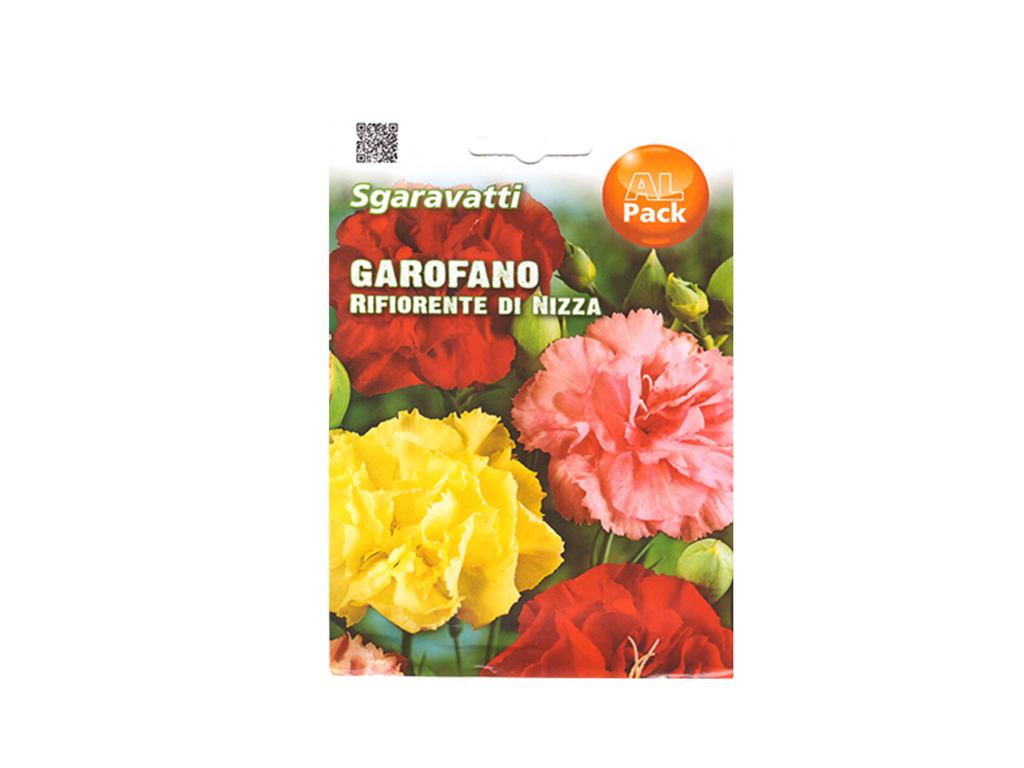 Garofano Colored Flower Seeds - قرنفل ملون - Majama