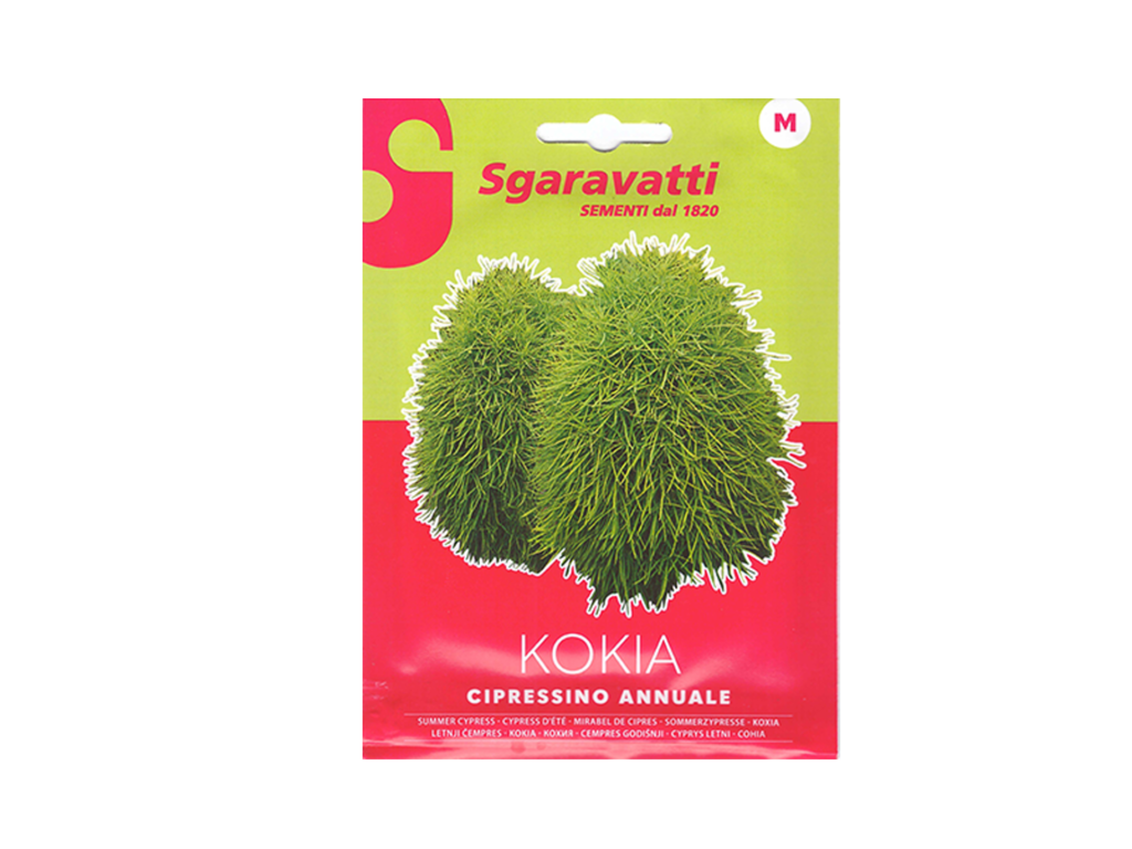 Kokia Seeds - خشخيشة - Majama