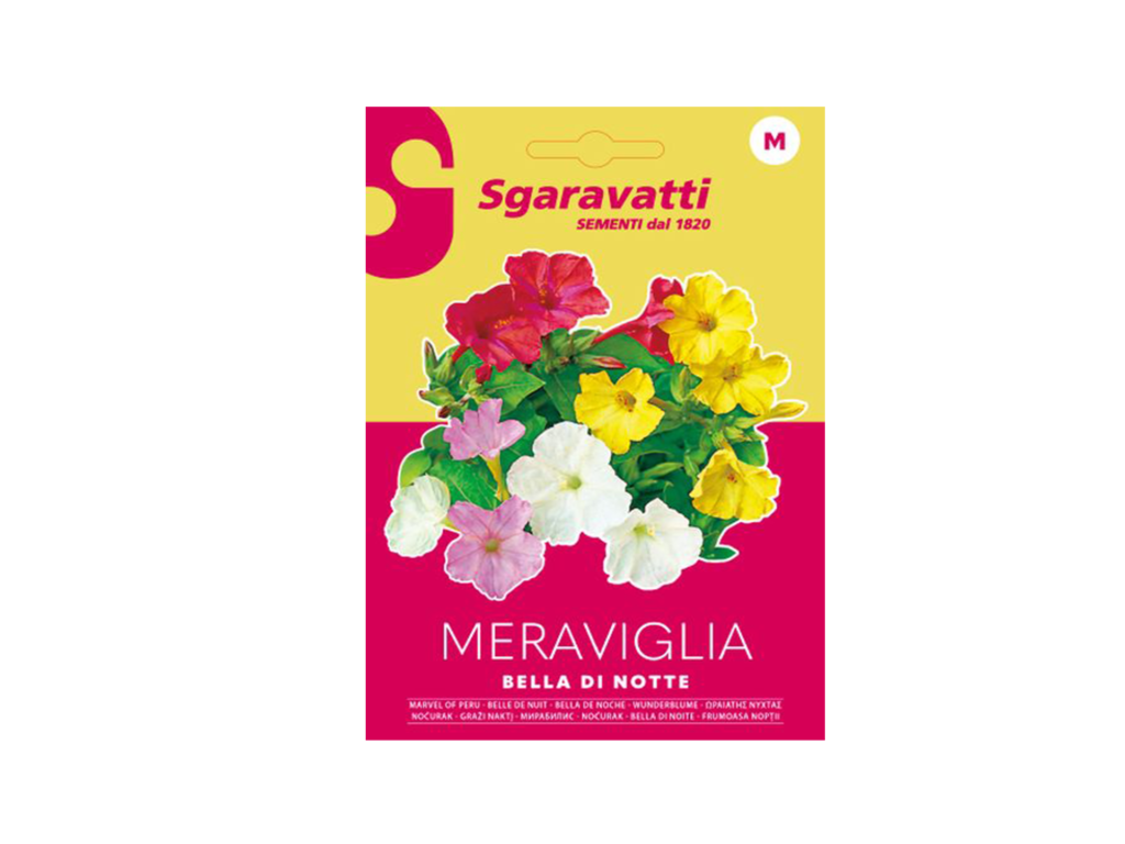 Meraviglia Bella Flower Seeds - Majama