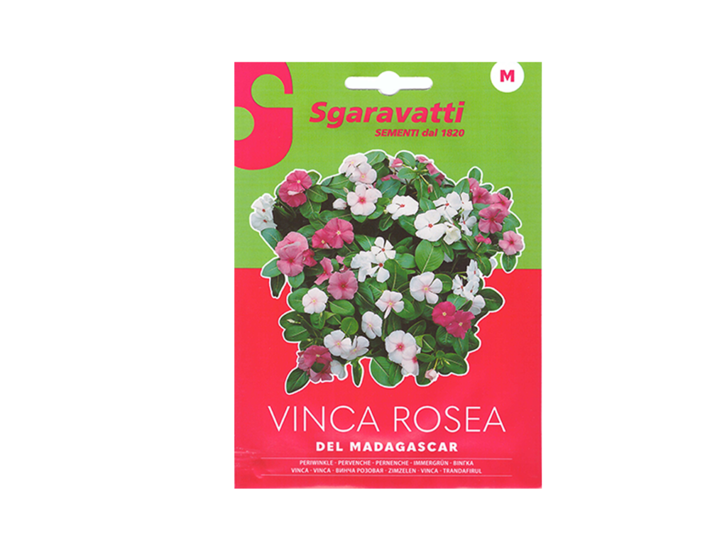 Vinca Rosea Flower Seeds - Majama