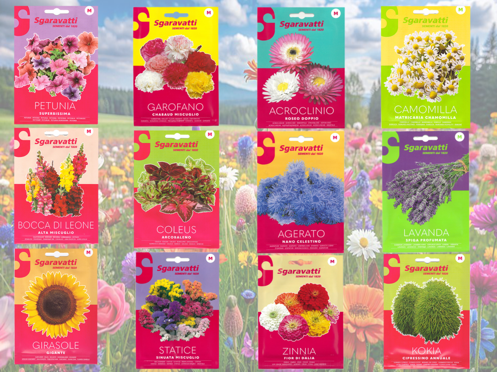 Flower Seeds - بذر ورد - Majama